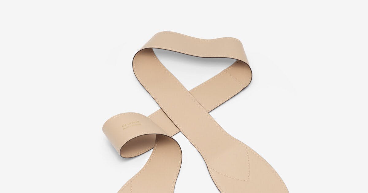 Handle Ribbon Oriel | Delvaux